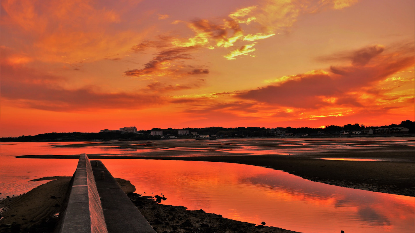 【完全ガイド】下関駅から唐戸市場への行き方を徹底解説！ | NEWT（ニュート）